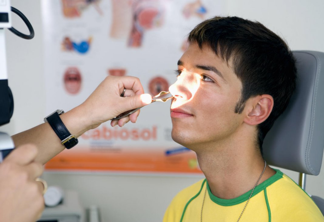 Jak rozmnażać kaktusy: Proste metody dla każdego - Balttur.com.pl