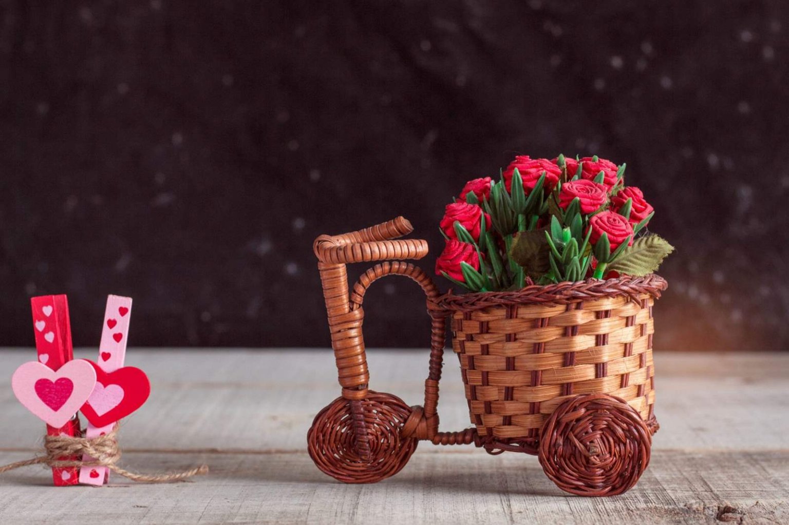 Jak rozmnażać kaktusy: Proste metody dla każdego - Balttur.com.pl